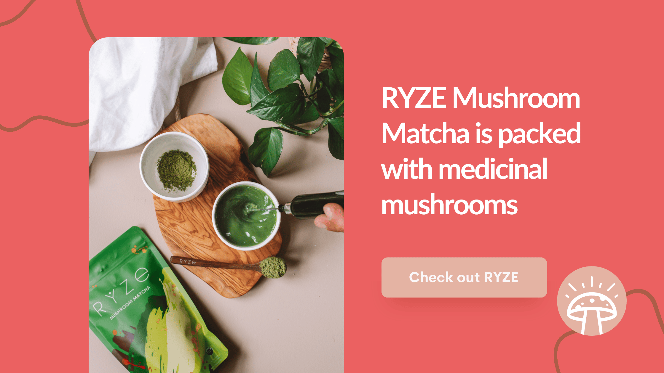 What is Mushroom Matcha? The Complete Benefits & Buyer's Guide